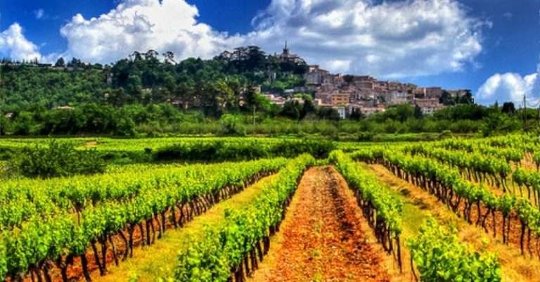 Provence Wine Region, France - Aoide