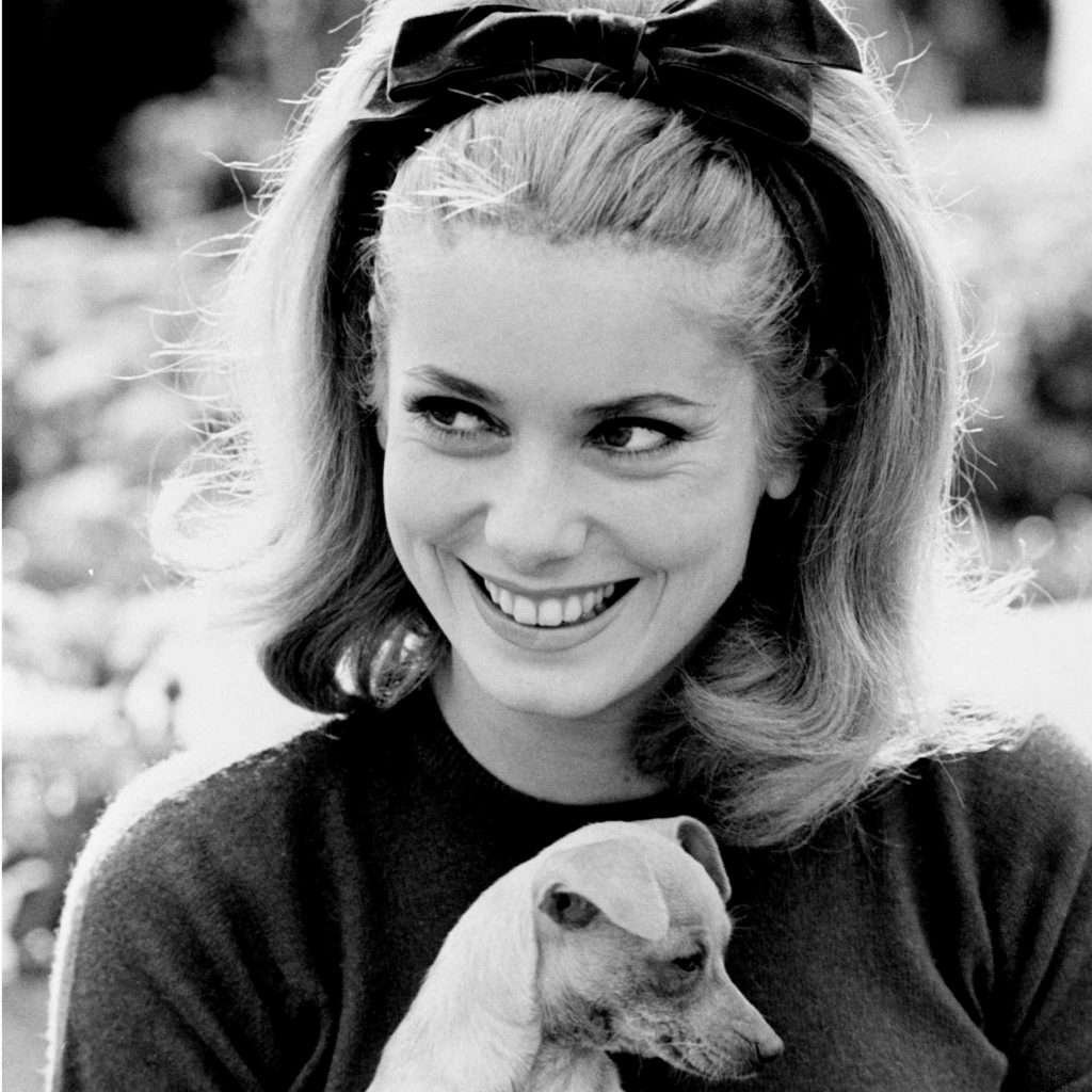 Catherine Deneuve & Yves St. Laurent, Iconic Fashion - Aoide
